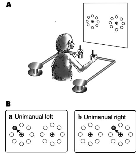 Experimental Setup Figure Modified From 6 Download Scientific