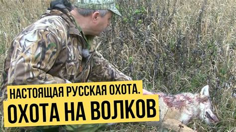 Настоящая русская охота // Охота на волков - YouTube