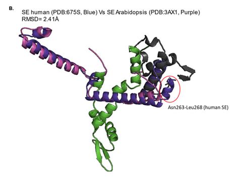 Functional Divergence Test For Ddl A And Se B Protein Sequences Download Scientific Diagram