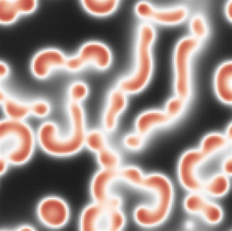 Complexity Explorables Reaction Diffusion