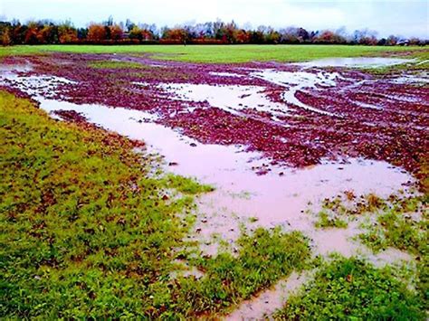 Ефективни начини за обработка на почви които са преовлажнени Български Фермер