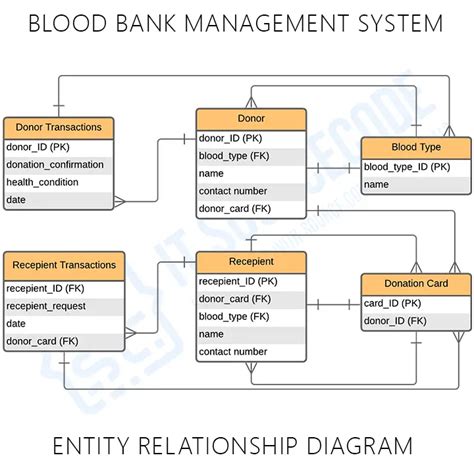 Blood Bank Management System ER Entity Relationship Diagram