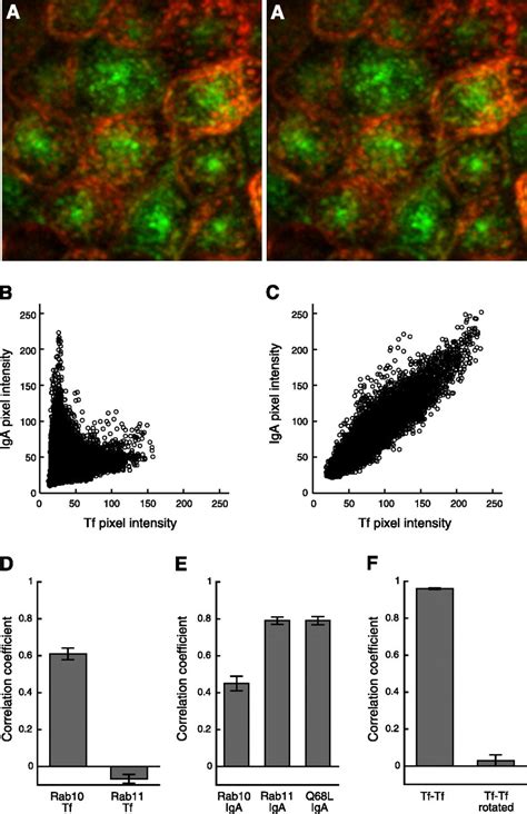 A Practical Guide To Evaluating Colocalization In Biological Microscopy American Journal Of