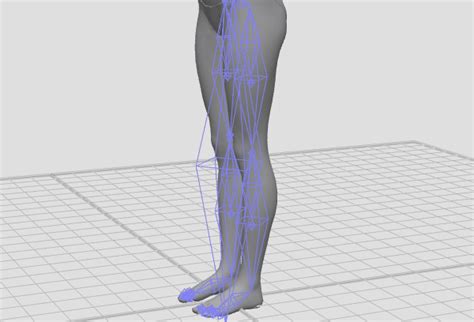 Working With Character Creator