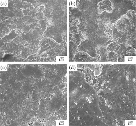 Sem Images Worn Surface Of Nial Ti3alc2 Composites A 5 Wt Ti3alc2 Download Scientific