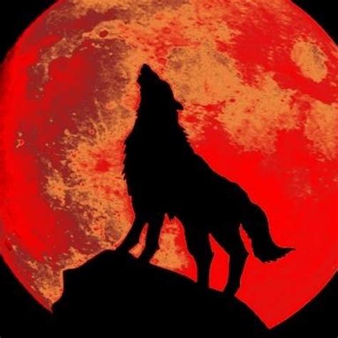 DRO CODE SOUND YouTube