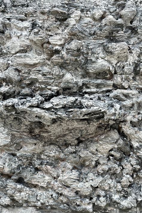 Silver Fish Pascal Plasencia