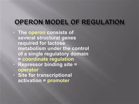 Prokaryotic Gene Regulation Ppt Genetics Science