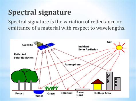Spectral Reflectance Curve Of Dead Stressed Vegetation Pptx