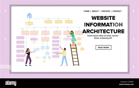 Structure Website Information Architecture Vector Organization Categorization Hi Res Stock