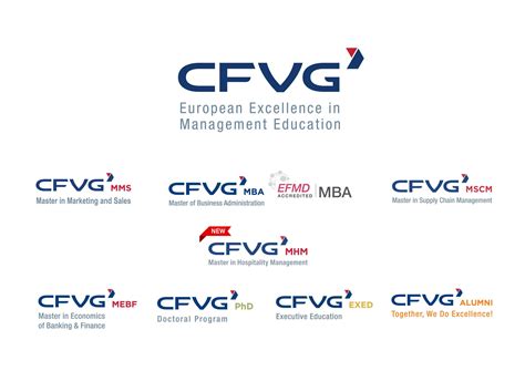Cfvg French Vietnamese School Of Management