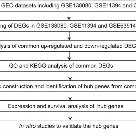 Workflow Of The Bioinformatics Analysis And Experimental Validation