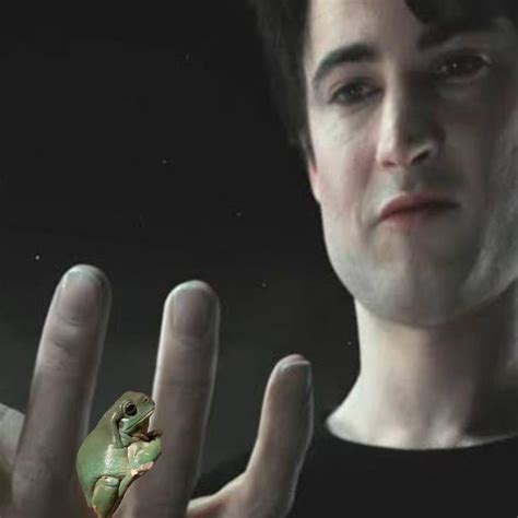 Me Infatuated By A Green Blob That Moves R Frogs