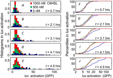 Temporal Response Of The Lux Activation Histogram A E Progression