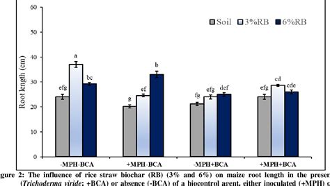 Figure 1 From Effect Of Trichoderma Viride And Rice Straw Biochar On