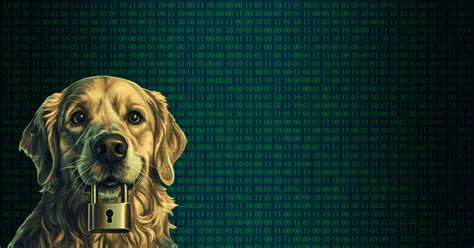 Reconnaissance First Stage Of A Cyberattack Infinity Labs Randd