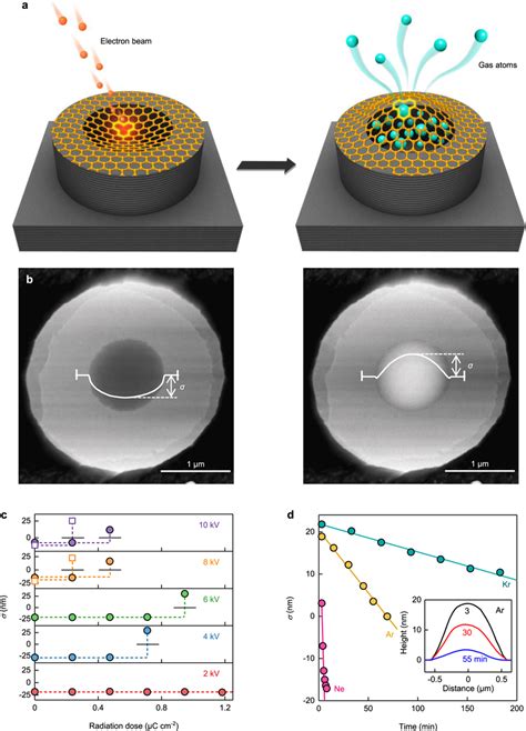 Creating Defects In Suspended Graphene A Schematic Of Our Devices Download Scientific Diagram
