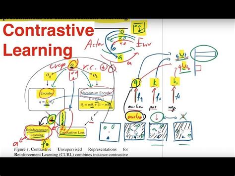 Free Video Curl Contrastive Unsupervised Representations For