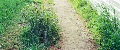 잔디에 플라스틱 병 식물 중 쓰레기 사방에 자연에 독성 플라스틱 식물 중 공원에서 쓰레기 오염 된 토양 환경 오염 생태 학적 문제 어디서나 쓰레기를 던져 거절에 대한 스톡