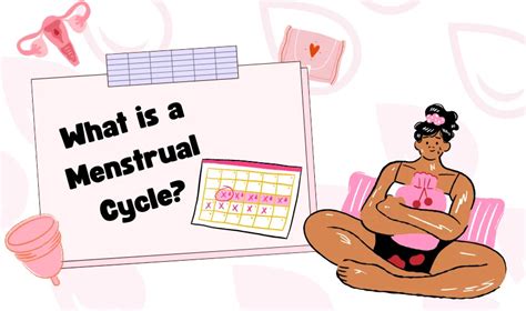 What's a Menstrual Cycle? Tracking Tips | Selin App