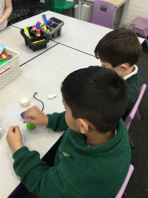 Cedar Science Testing Materials Woodbank Primary School