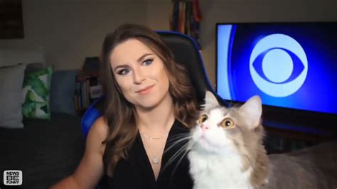 Cat Interrupts Cbs News Broadcast To Stare At A Fly Youtube