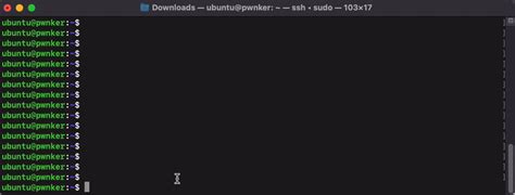 heap exploit · github topics · github