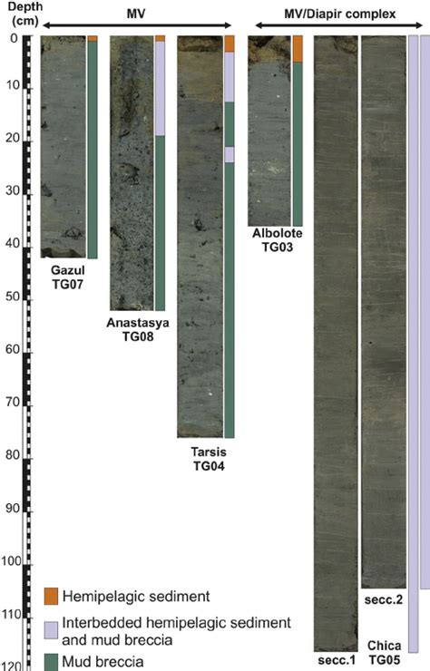 High Resolution Photographs And Sedimentary Facies Identi Fi Ed In The