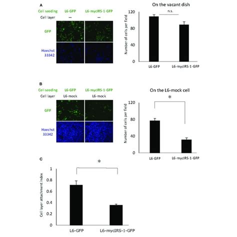 A Proposed Classification For Dsd Download Table A Proposed Classification For Dsd Download Table