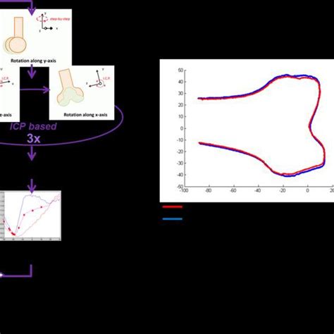 Finite Element Model Of The Knee Joint Download Scientific Diagram