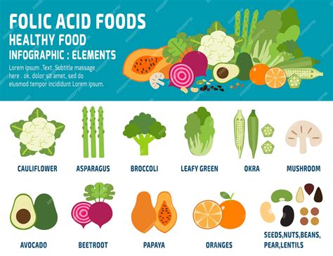 Premium Vector | Folic acid foods infographic vector illustration isolated