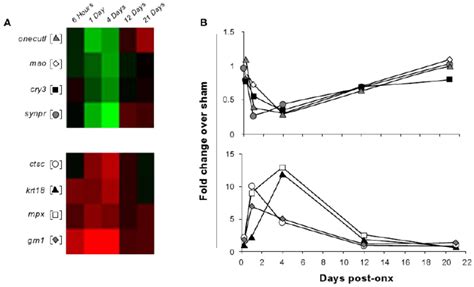 Comparison Of Gene Expression Profiles By Microarray And Qpcr Analysis
