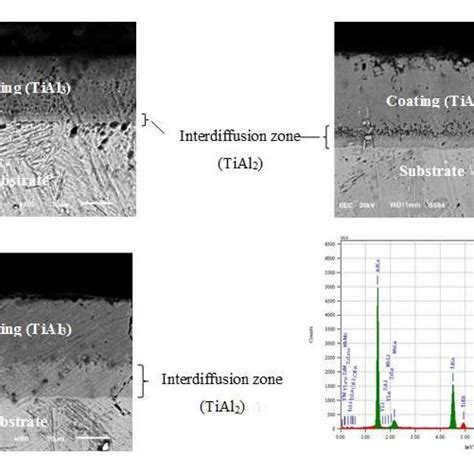 Microstructure Of Coating Substrate After Heating Simulation For 22 Hrs