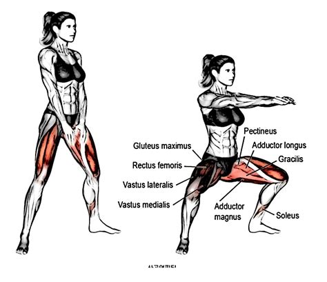 5 와이드 스쿼트 Wide Squat