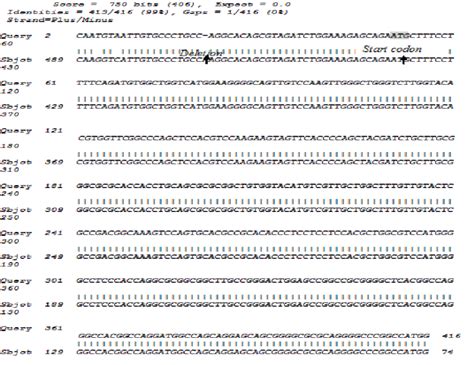 Comparison Of Dna Sequence From Our Results To The Standard Reference