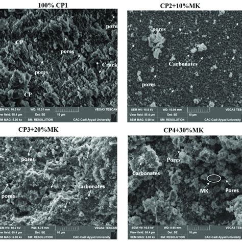 Microstructure Sem Of Elaborated Geopolymers P1 P2 P3 And P4