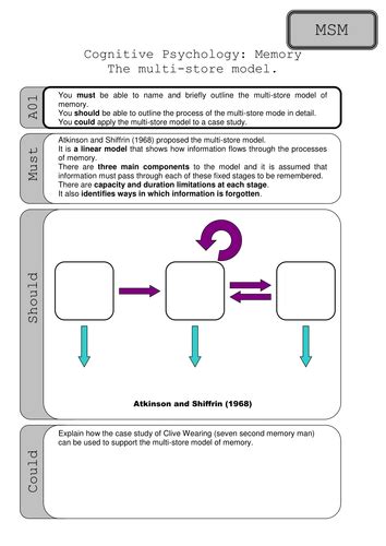 AQA GCSE Psychology 2019 spec – Lesson 4 The multi-store model of ...