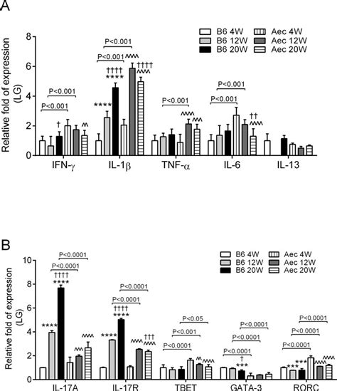 Quantitative Gene Analysis Of Mrna Transcripts In Aged Lg A B