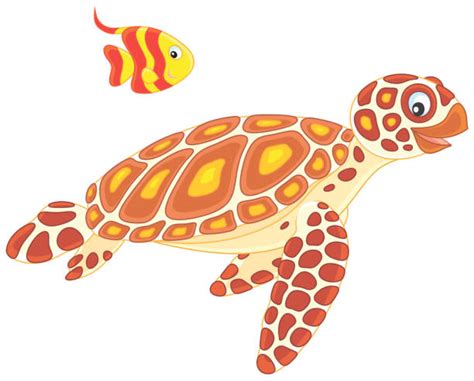 Loggerhead Sea Turtle Cartoon Illustrations Royalty Free Vector