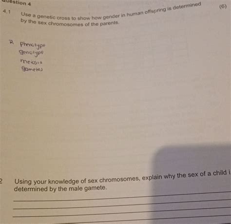41 Use A Genetic Cross To Show How Gender Studyx