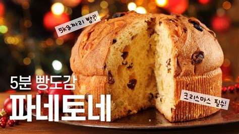 🇮🇹파네토네🎄이탈리아의 크리스마스 빵 파네토네란 5분 빵도감 Youtube