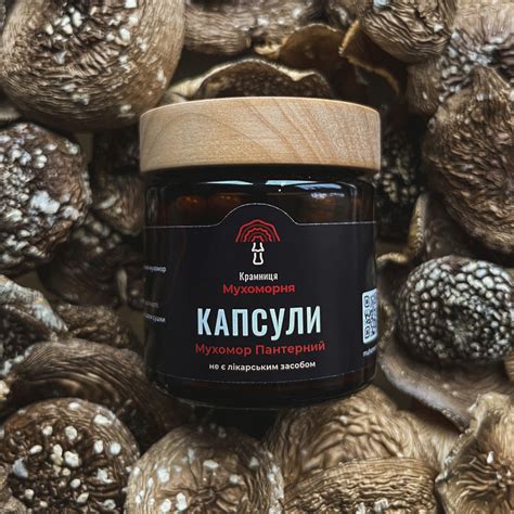 Мухомор пантерний в капсулах | Крамниця Мухоморня