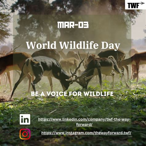 Twf The Way Forward On Linkedin Nature Conservation Sustainability