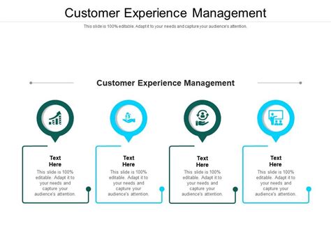 Customer Experience Management Ppt Powerpoint Presentation Portfolio