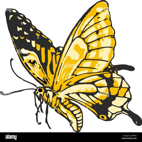 Vector Illustration Of Japanese New Year Object Swallowtail Butterfly