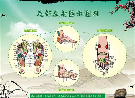 足部反射区示意图设计图 其他 广告设计 设计图库 昵图网