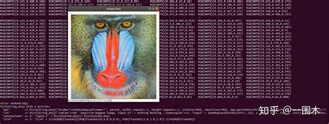 一起学习julia图像处理（一） 知乎
