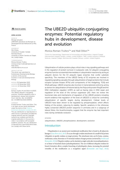Pdf The Ube2d Ubiquitin Conjugating Enzymes Potential Regulatory