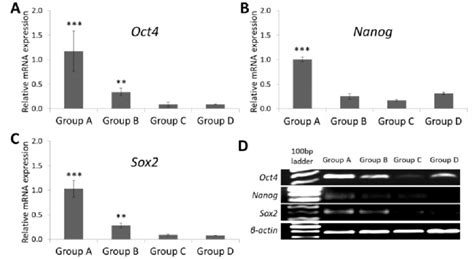 Quantitative Reverse Transcriptase Polymerase Chain Reaction Analysis