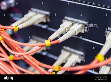 Cable Network Fiber Optic Cable Connect To Switch Port In Server Room Concept Network